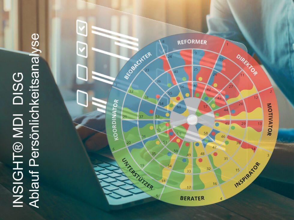 INSIGHTS MDI® Ablauf Persönlichkeitsanalyse | DISG 4 Farben